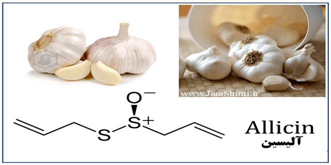 شیمی ترکیبات سازنده سیر Garlic - جم شیمی